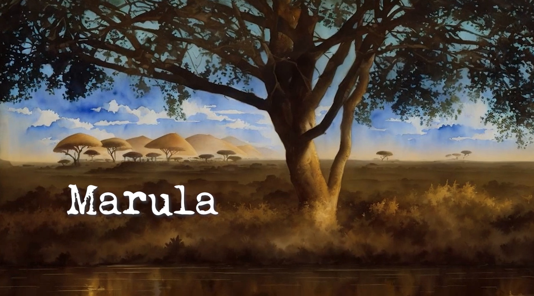 Marula - featuring Spirit-T - Nancy Beaudette Music & Coach